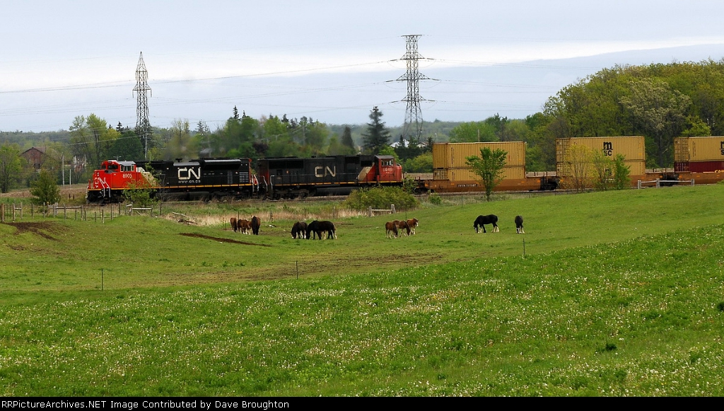 CN #8905 & CN #5646 - and some old hosepower in the foreground